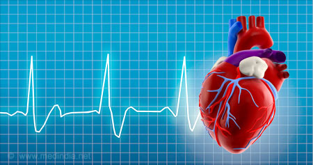 Healthy Heart - MJ Conroy